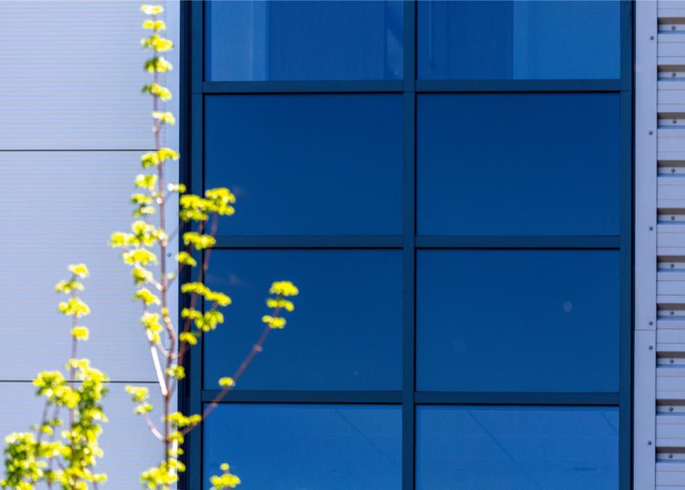 The Magrock way - Magrock